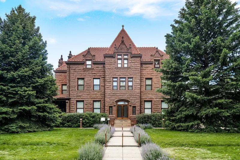 Memories of the Moss