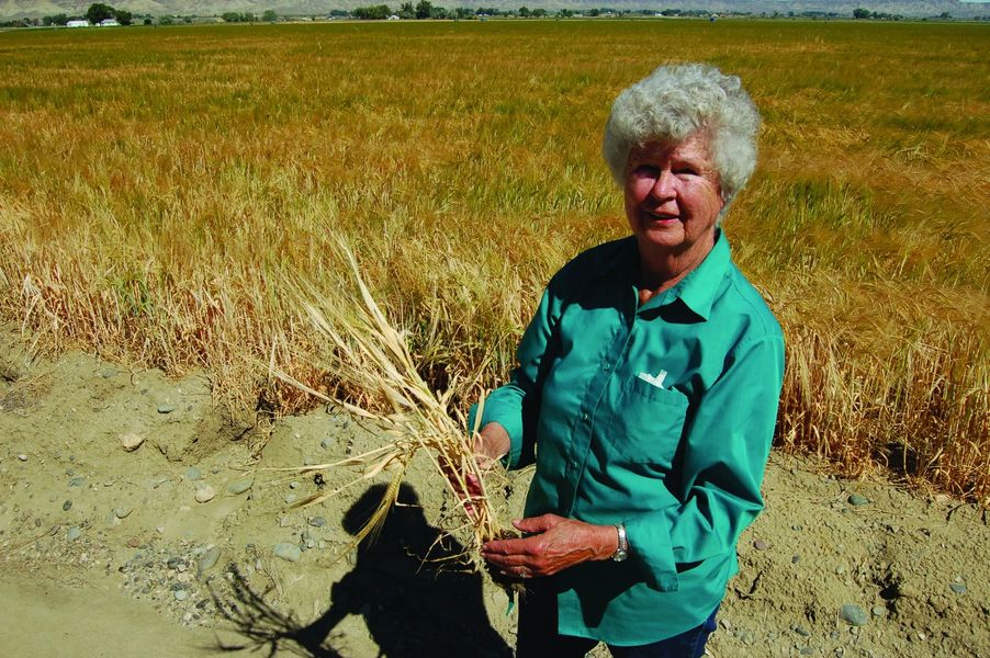 Powell: Where Americana meets cutting-edge amenities