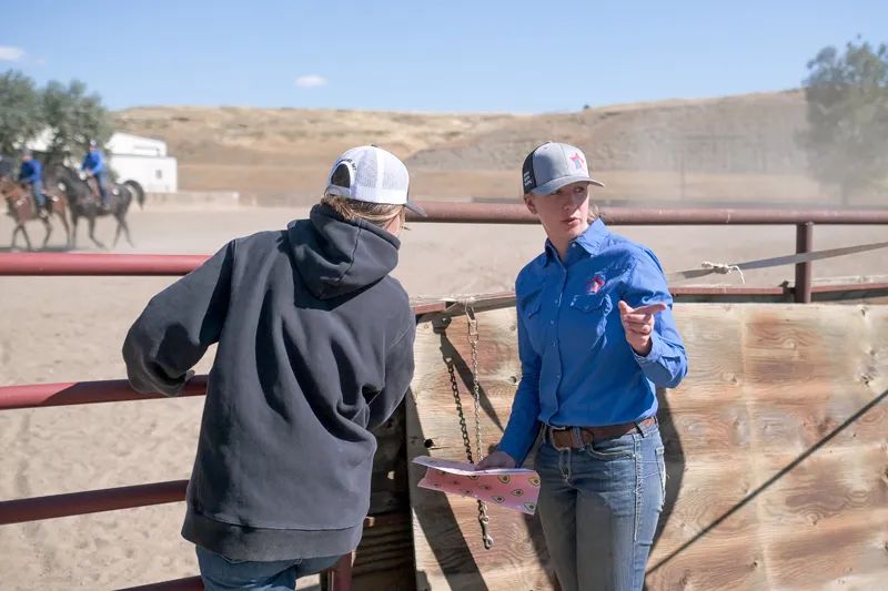 Horses Spirits Healing