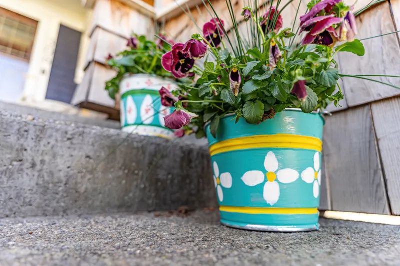 Painted Planters
