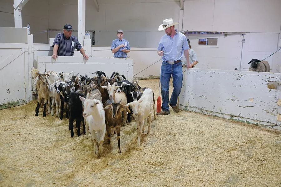 The Loud & Lively Future