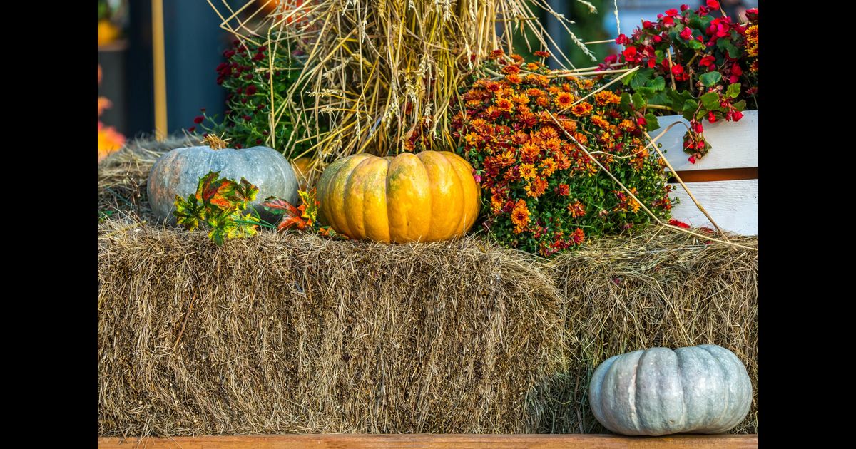 The Glory & Magic of Autumn