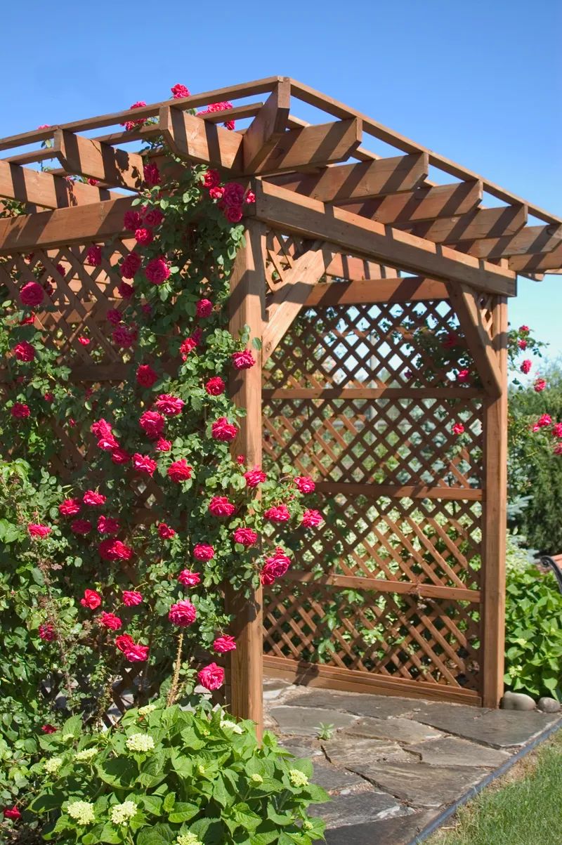 Planting for Privacy